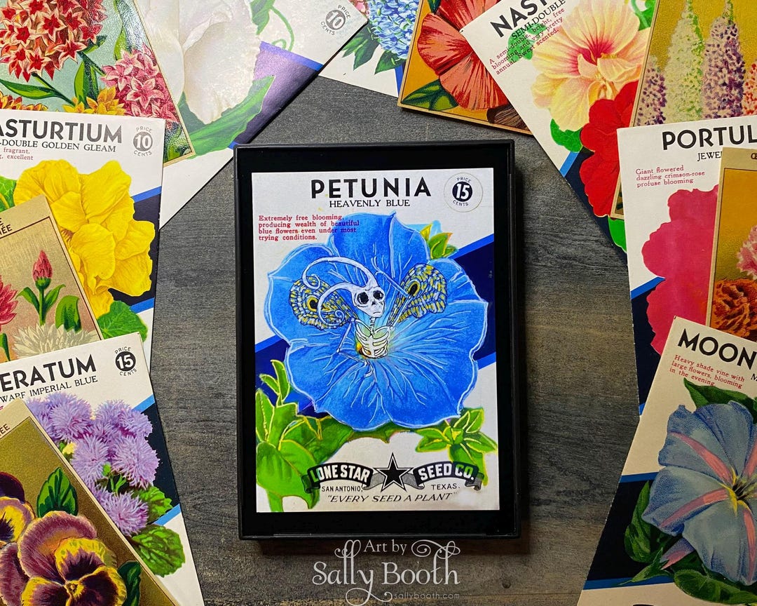 Petunia + Fairy Skelly Vintage Seed Packet Framed Mini Art Print ...