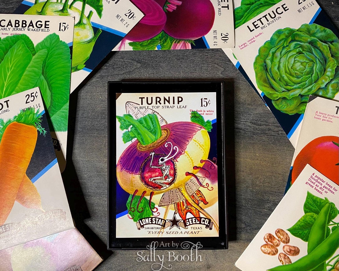 Turnip Rocket + Skelly Vintage Seed Packet Framed Mini Art Print - Etsy