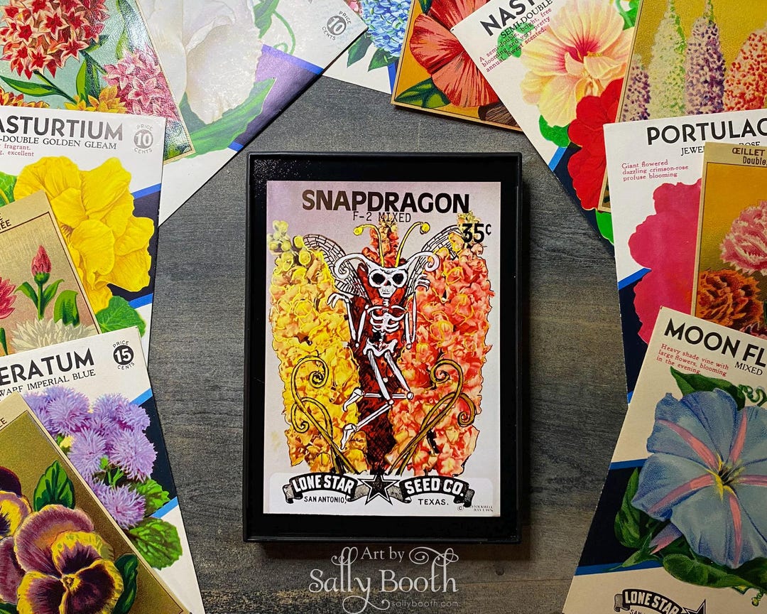 Snapdragon + Fairy Skelly Vintage Seed Packet Framed Mini Art Print - Etsy