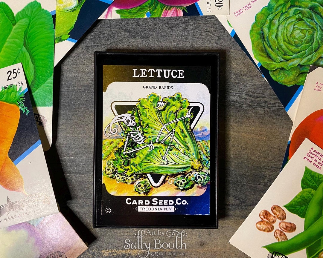 Lettuce + Skelly Vintage Seed Packet Framed Mini Art Print - Etsy