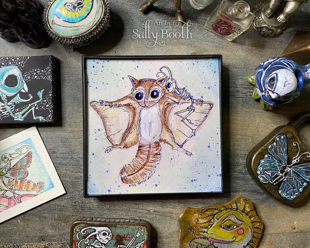 Flying Squirrel + Skelly Framed Mini Art Print - Etsy