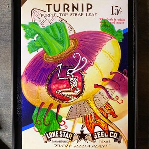 Turnip Rocket + Skelly Vintage Seed Packet Framed Mini Art Print - Etsy