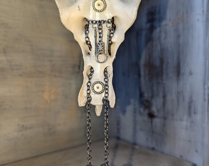 Animal Bone Wall Hanging, Natural Organic Wall Decor, Animal Bone Art ...