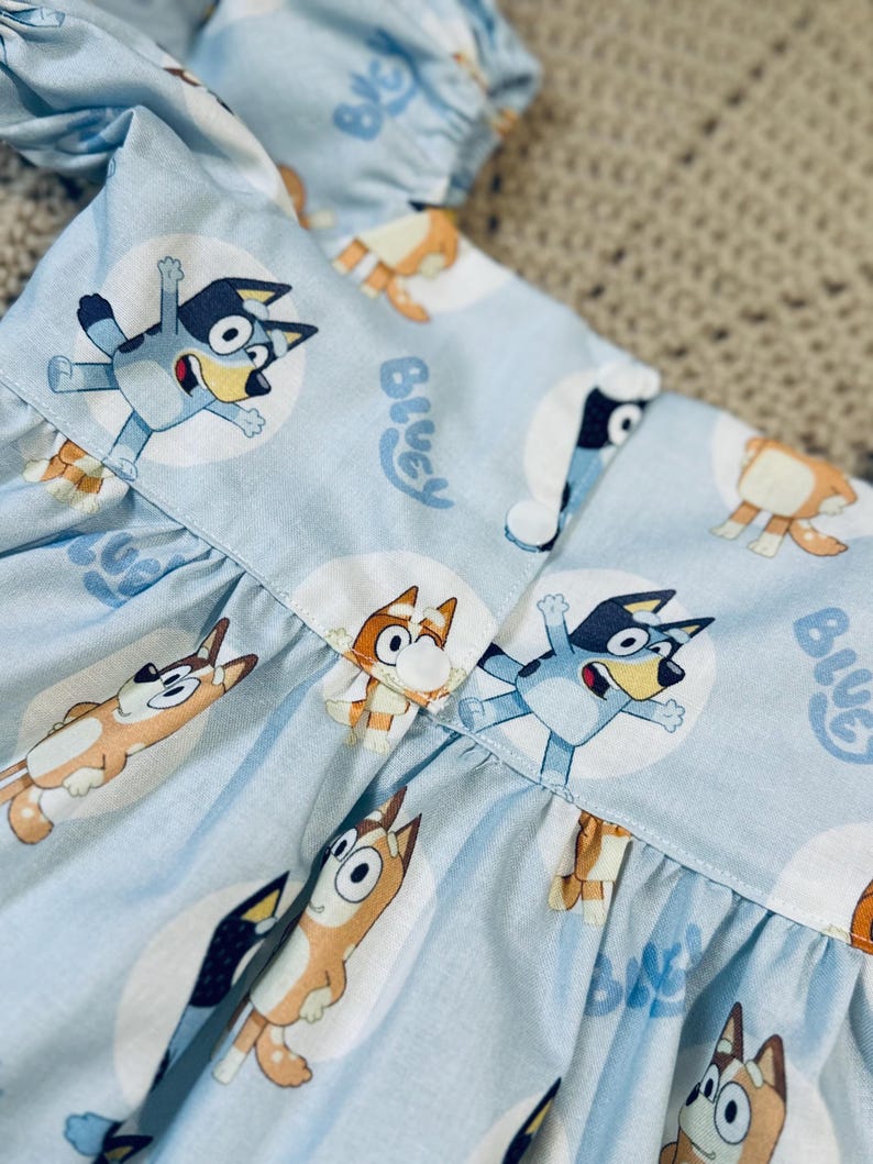 Handmade Bluey Dress Bluey Birthday Party Outfit Toddler Girls Bluey ...