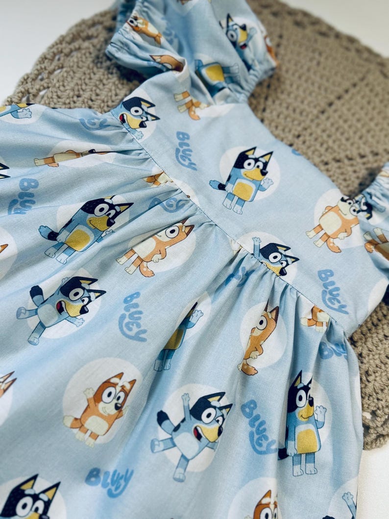 Handmade Bluey Dress - Bluey Birthday Party Outfit - Toddler Girls ...