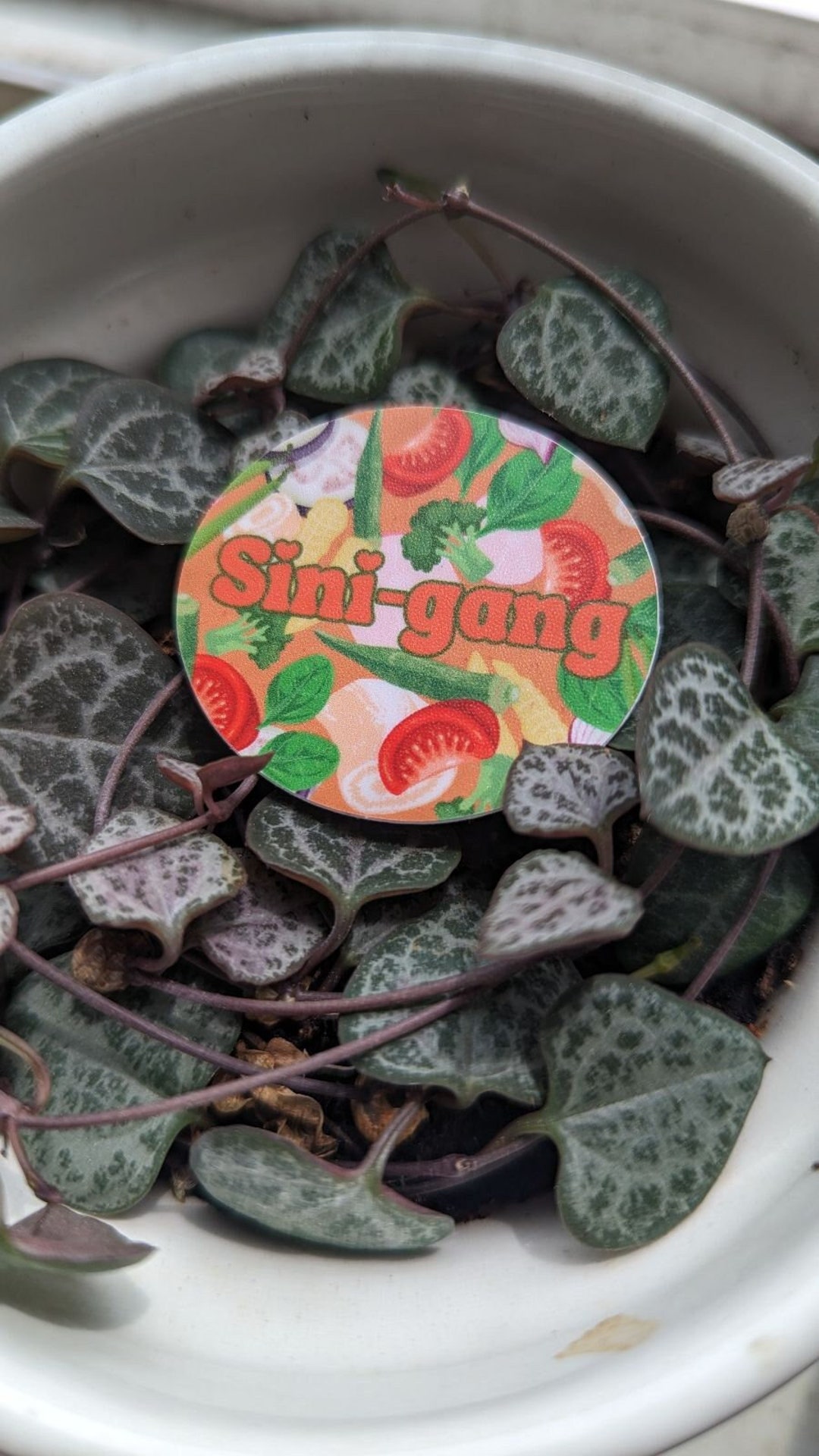 Sticker Filipino MINI Sinigang - Etsy
