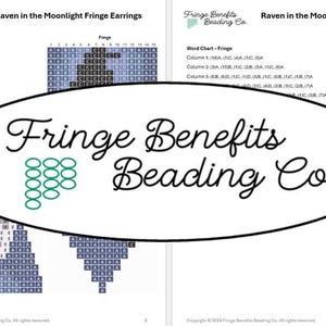 PDF BEADING PATTERN - Birds! Raven in the Moonlight Beaded Fringe ...