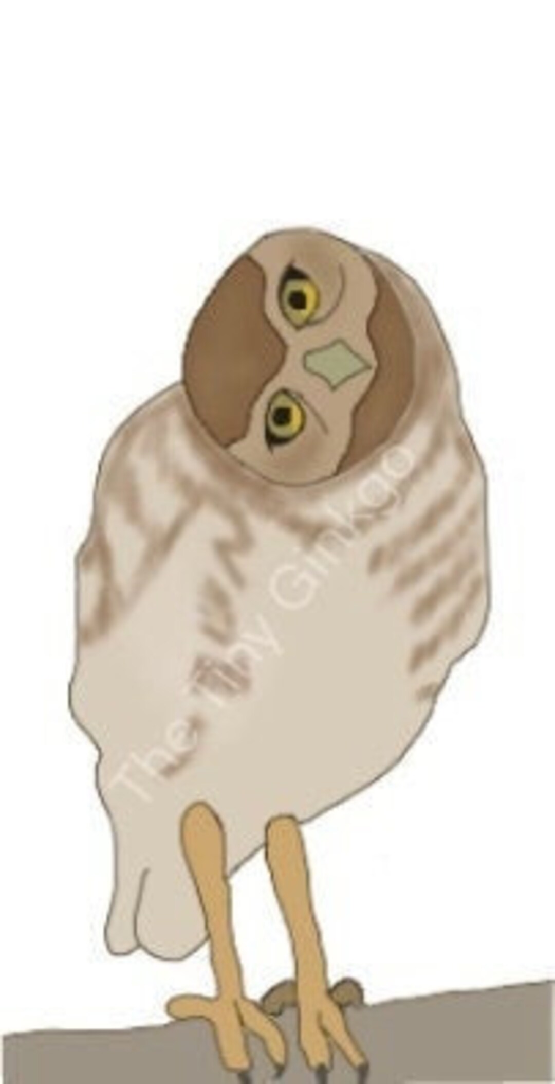 Burrowing Owl Digital Sticker Download - Etsy