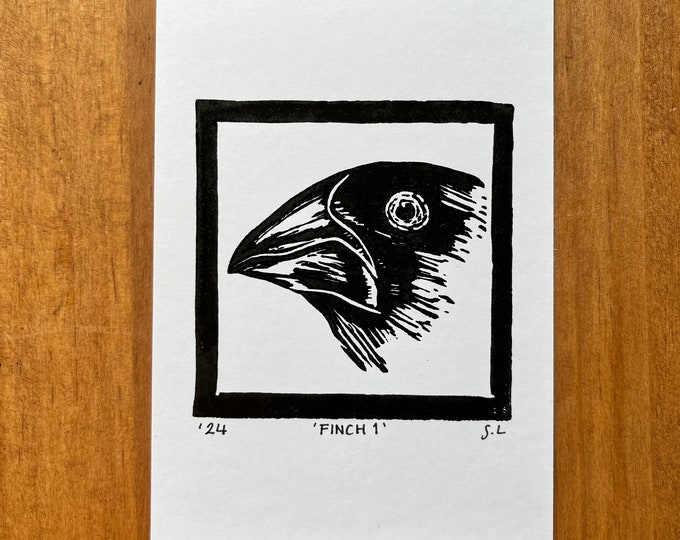 Darwin Wasps - Poster - Etsy