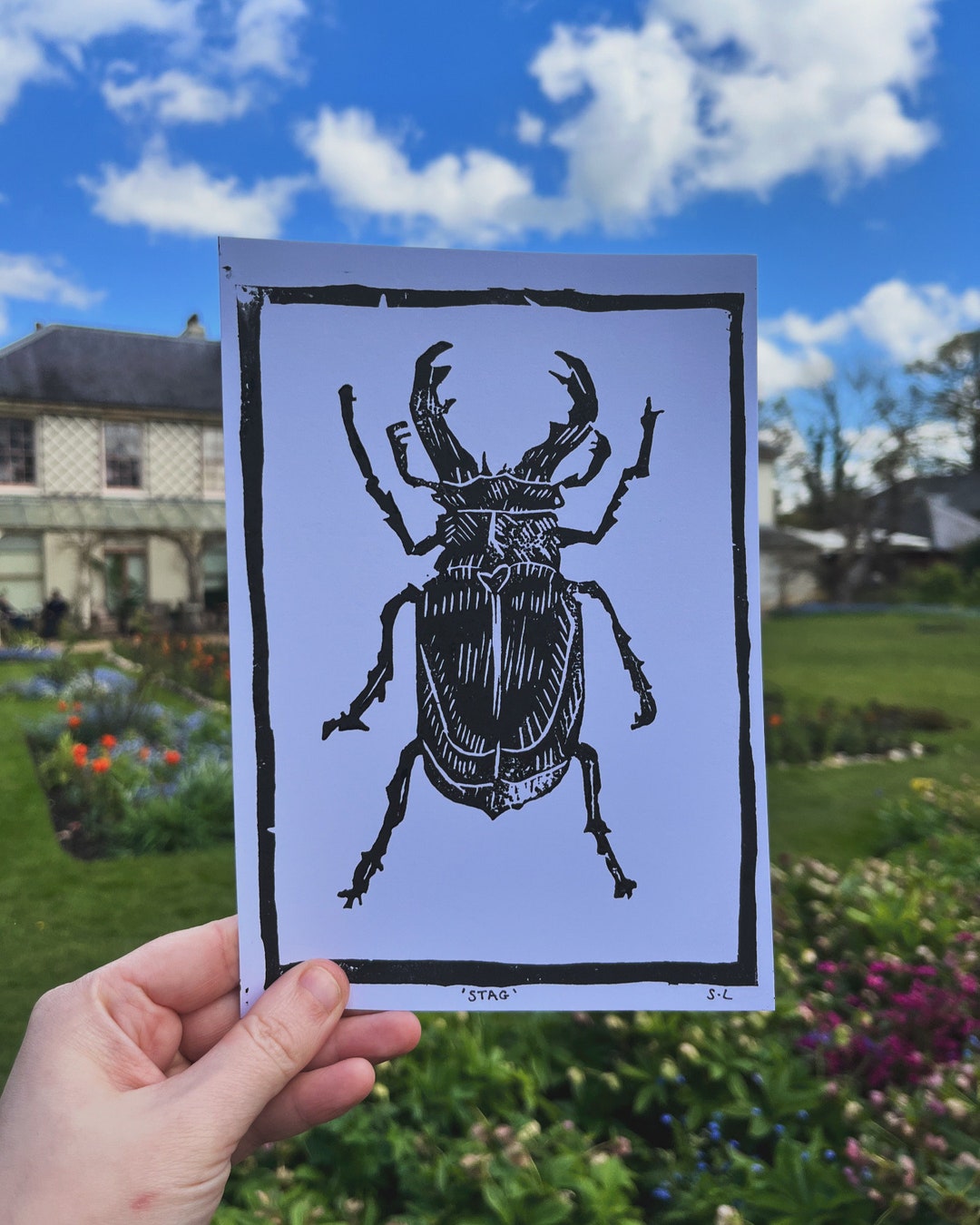 Stag Beetle Linocut Print - Etsy