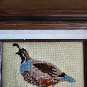 1980s Signed Framed Quail Needlepoint Wall Hanging - Etsy