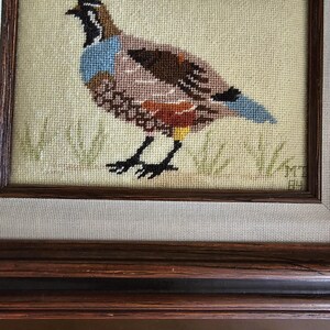 1980s Signed Framed Quail Needlepoint Wall Hanging - Etsy