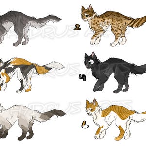 WC OC ADOPTS Original Character Cat Adopt, Warrior Cat Art, High ...