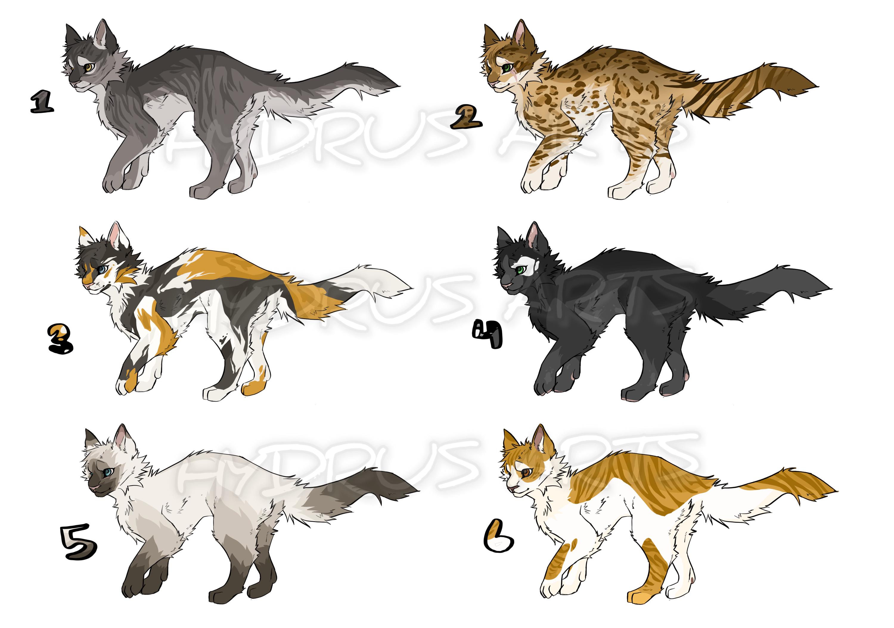 WC OC ADOPTS Original Character Cat Adopt, Warrior Cat Art, High ...
