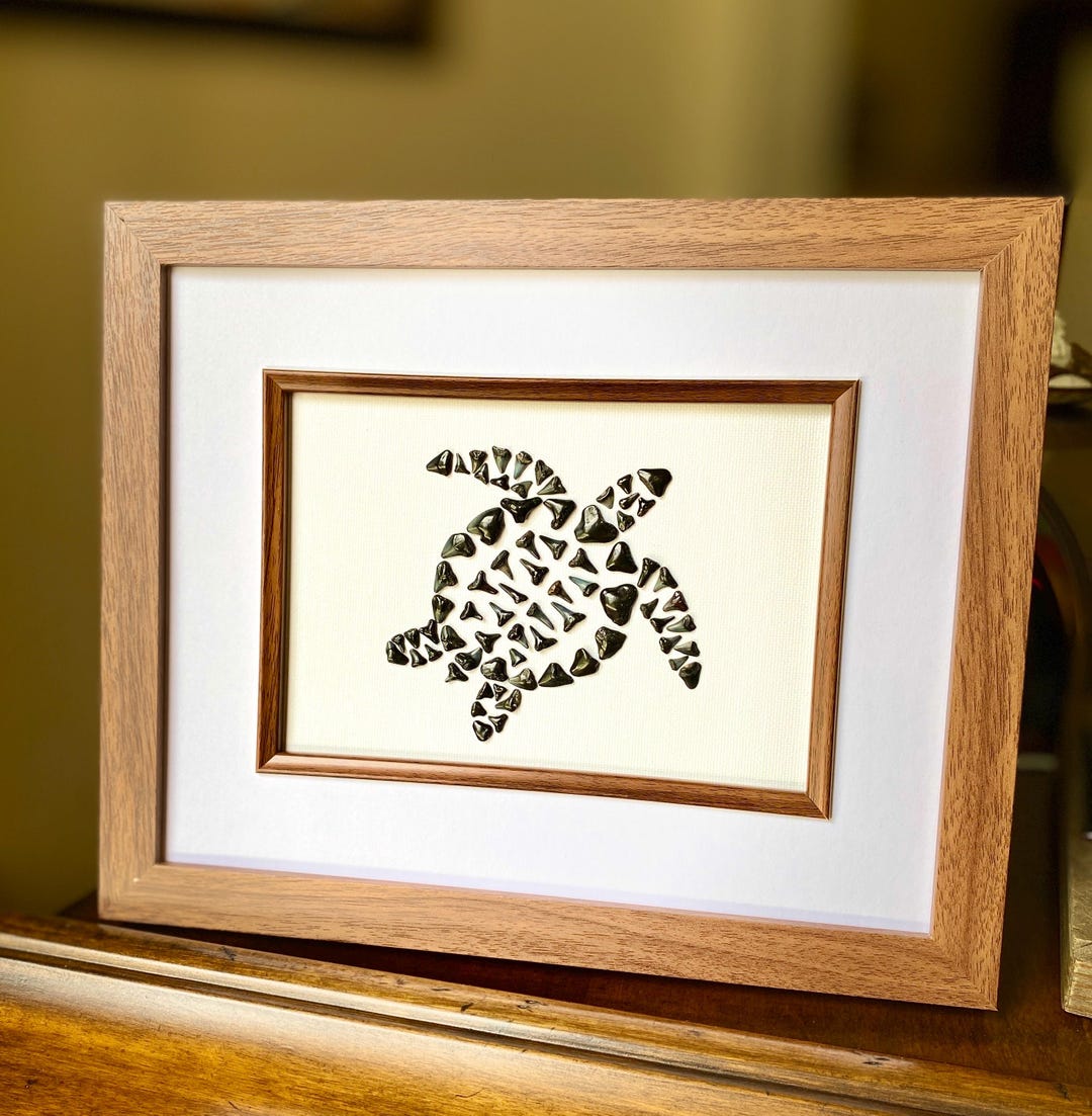 Shark Teeth Art - Unique Fossilized Shark Tooth Mosaic Wall Art Home ...