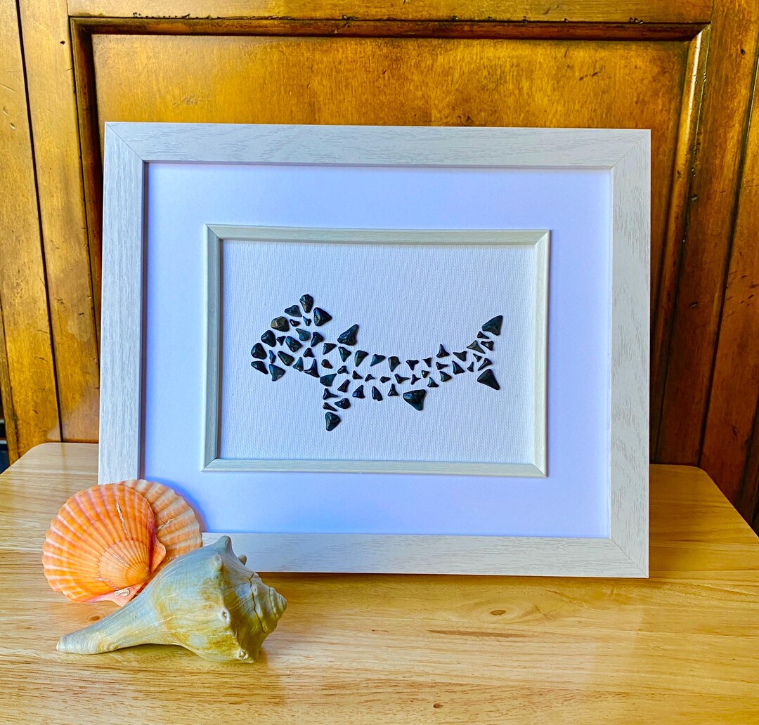 Fossilized Shark Teeth Art - Unique Shark Tooth Mosaic Wall Art Home ...