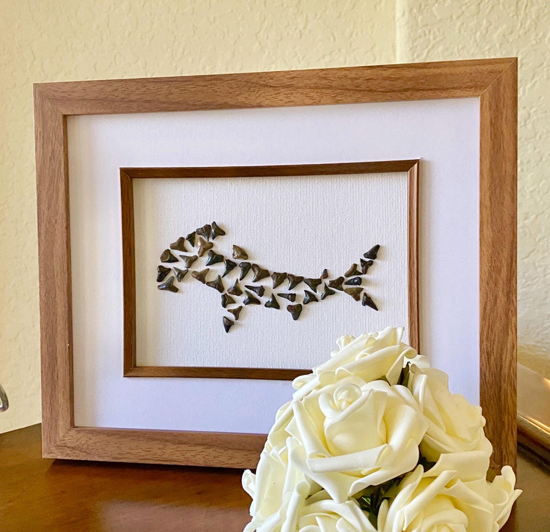Shark Teeth Art - Unique Fossilized Shark Tooth Mosaic Wall Art Home ...