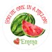 Watermelon Stickers, Red Watermelon Labels, Watermelon Birthday Party ...