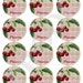 Cherry Canning Jar Labels, Canning Labels, Jelly, Jam, Cherry Preserves ...
