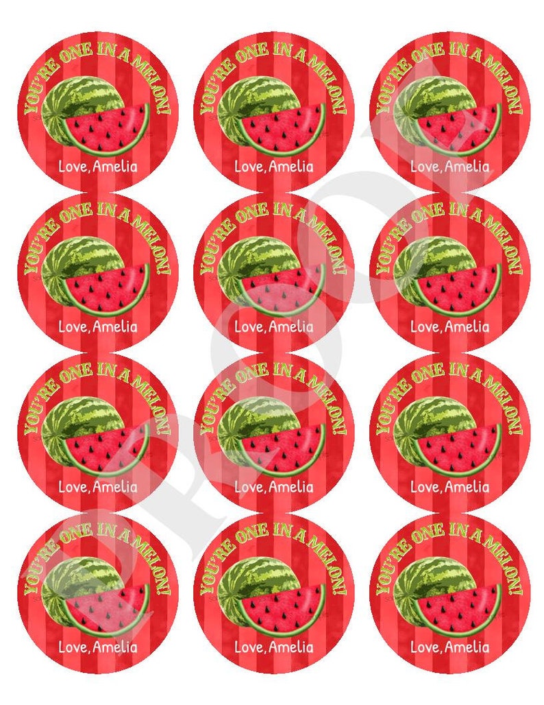 Watermelon Stickers Pink Watermelon Birthday Party One in a - Etsy