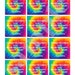 Tie Dye Birthday Party, Tie Dye Stickers, Tie Dye Shirt Tags, Favor ...
