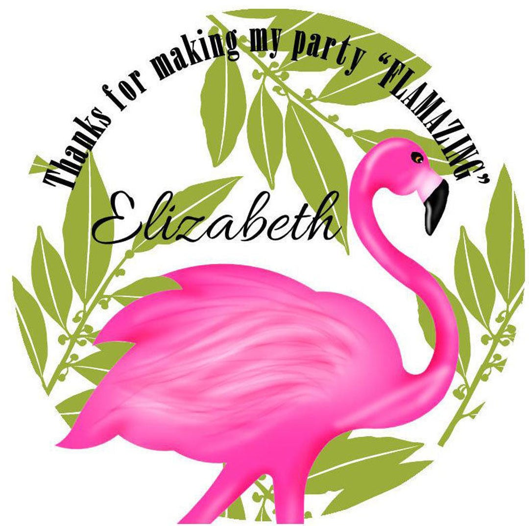 Flamingo Stickers, Flamingo Birthday Party, Hot Pink and Black ...