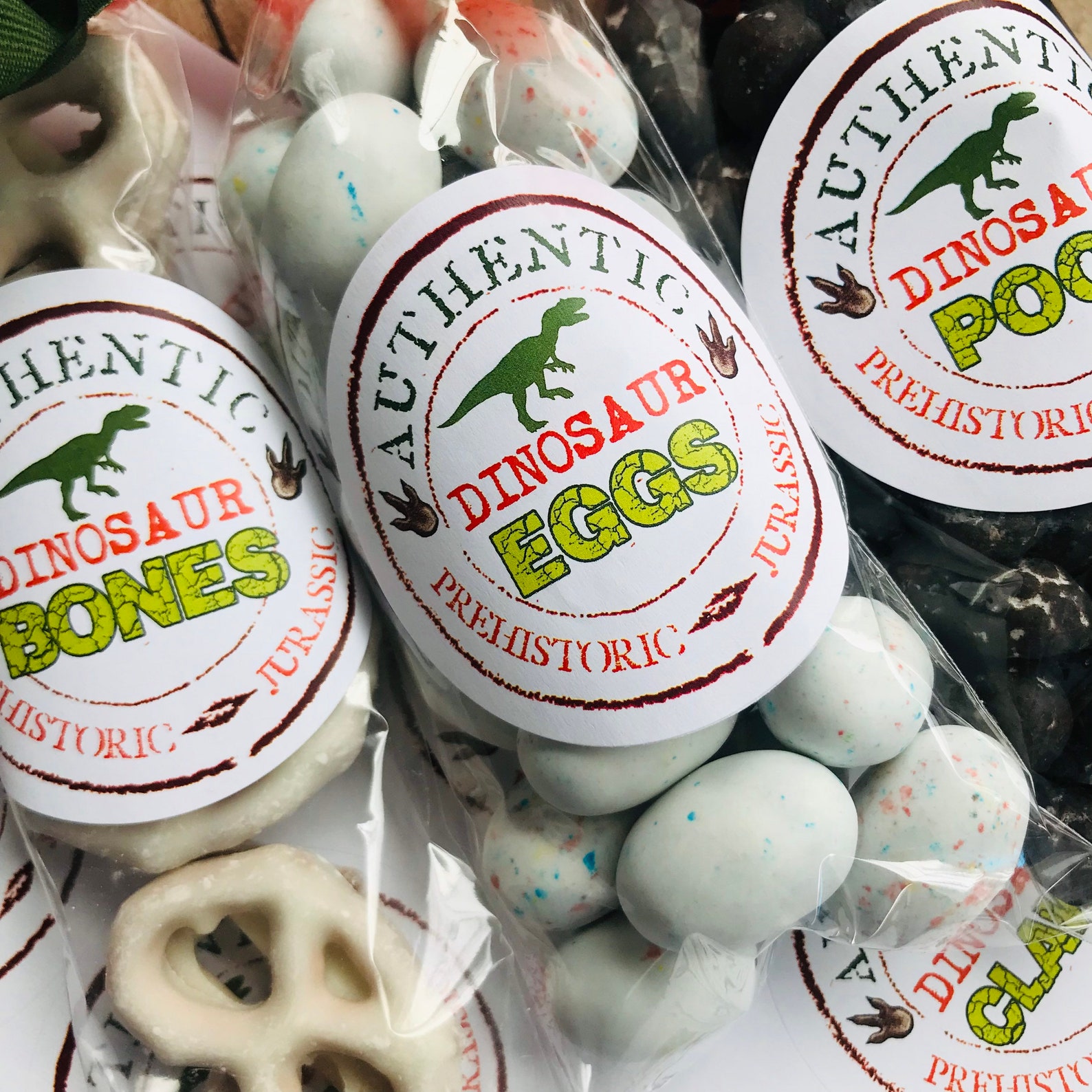 Dinosaur Bones Stickers - Dinosaur Birthday Party - Dinosaur Dig - Dino ...