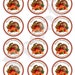 Thanksgiving Stickers Cornucopia Thanksgiving Fruit - Etsy