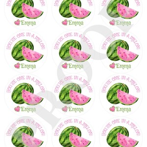 Watermelon Stickers - Pink Watermelon Labels - One in a Melon ...