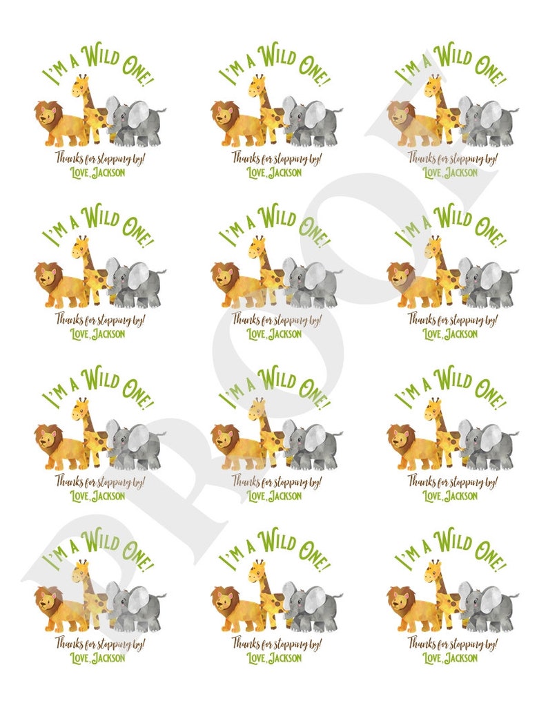 Safari Animal Stickers baby Safari Labels Baby Jungle Safari | Etsy