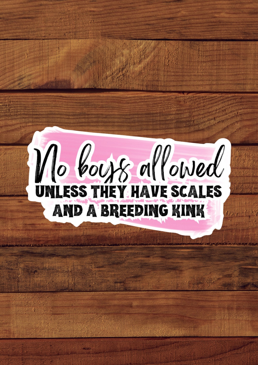 BW No Boys Allowed Vinyl Decals - Etsy