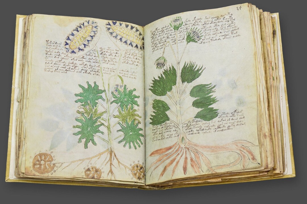 Voynich Manuscript Facsimile Faithful Leatherbound Reproduction ...