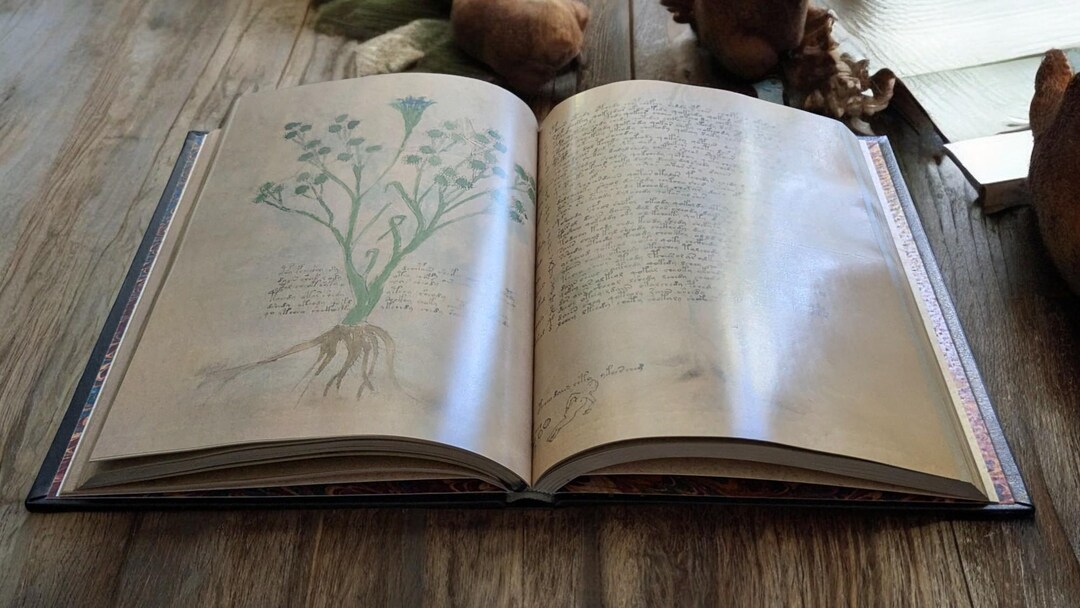 Voynich Manuscript Facsimile Faithful Leatherbound Reproduction ...