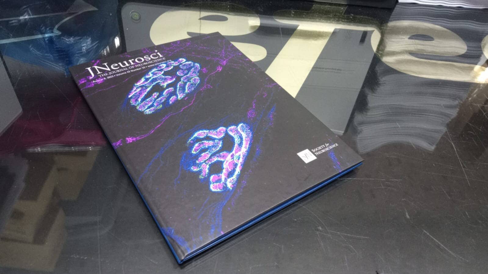 Print Your Book Express Fedex NO MINIMUM ORDER, Books, Magazines ...