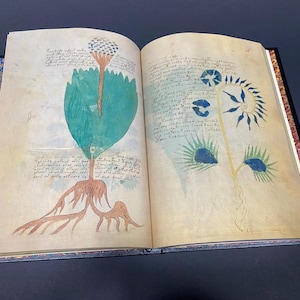 Voynich Manuscript Facsimile Faithful Leatherbound Reproduction ...