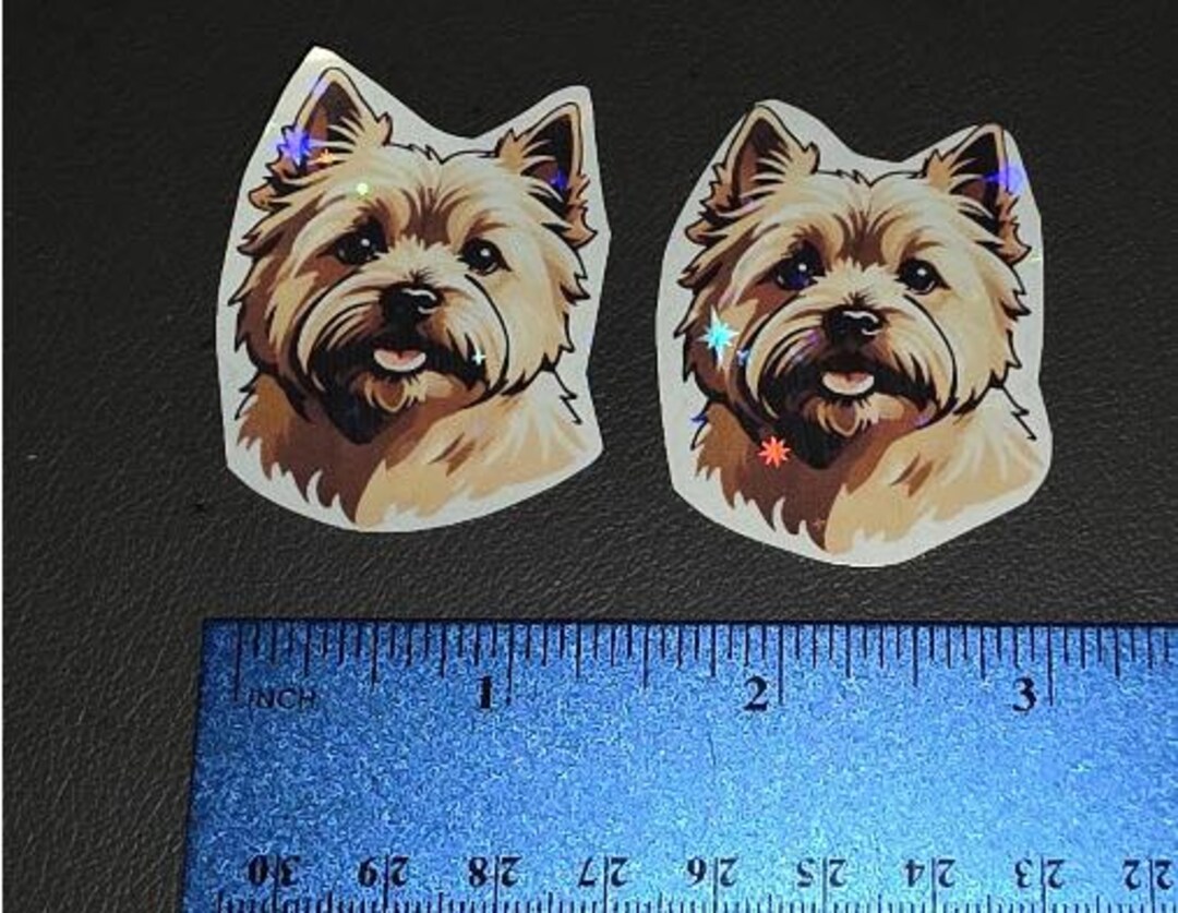 Toto Handmade Stickers With Glitter Stars – Set of 2 | Cute Planner ...