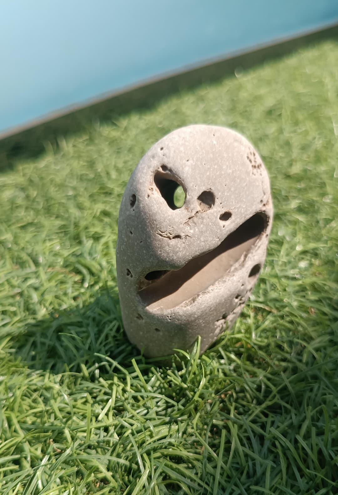 Curious Face Stone, Sea Monster Rock, Natural Art Object, Unique Pebble ...