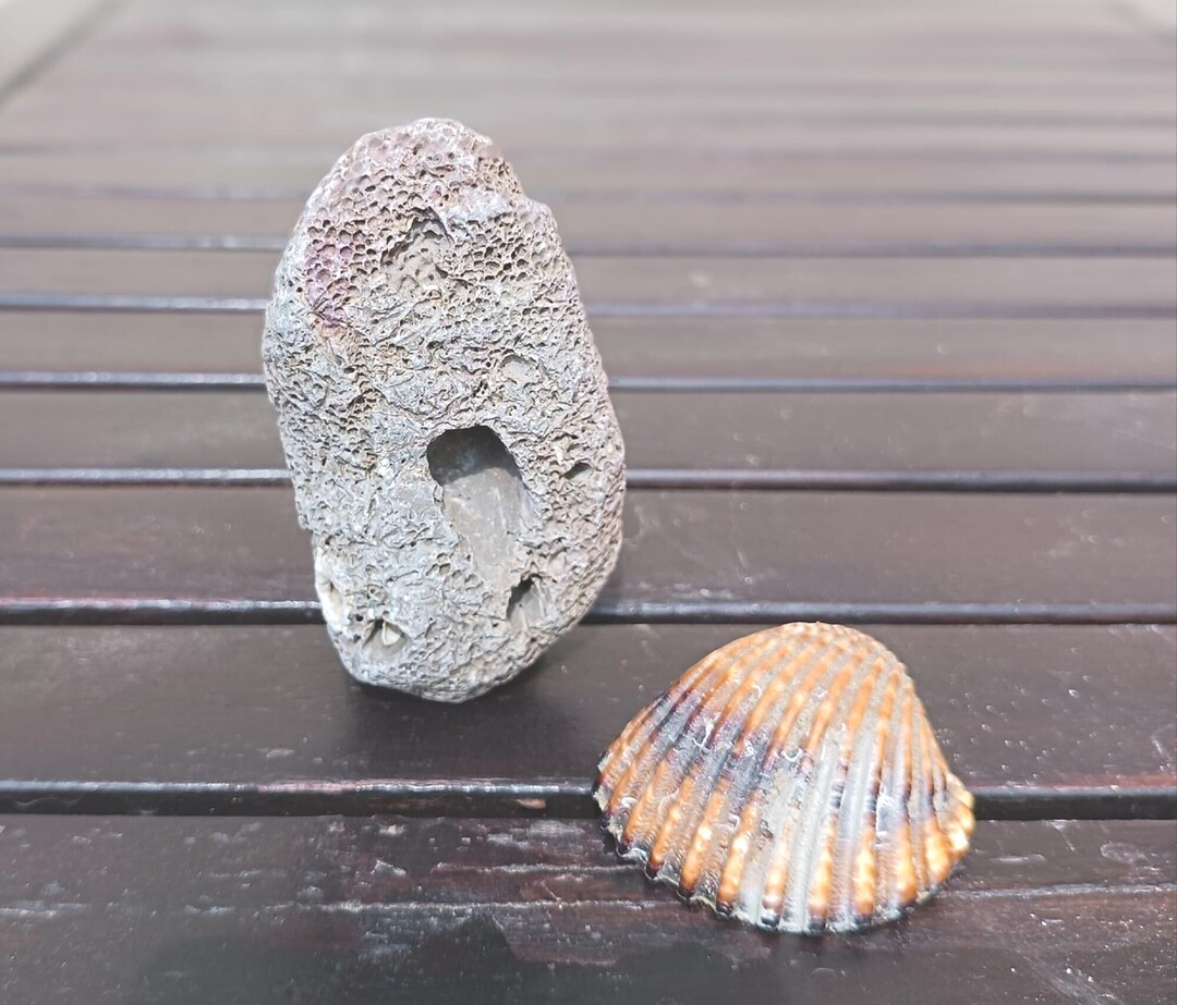 Beautiful Witch Stone, Holed Stone, Viper Stone, Odin Stone, Celtic ...