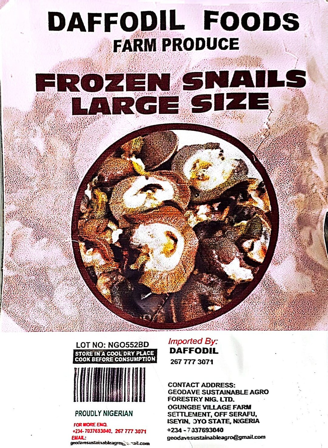 Frozen Snails - Etsy