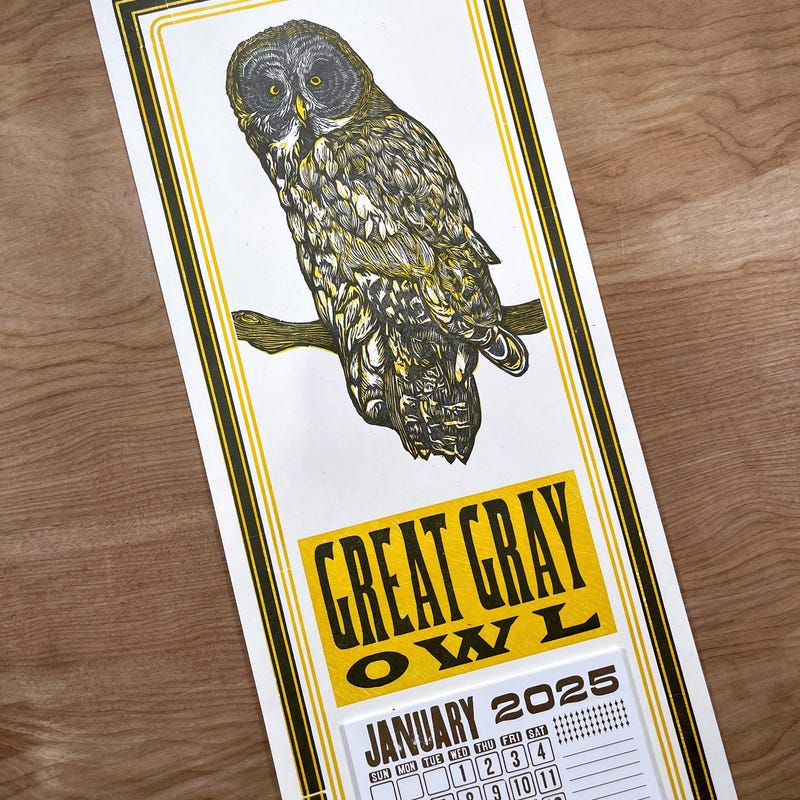 Grey Yellow Owl - Etsy