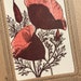 RED POPPY FLOWER Hand Printed Letterpress Print 8x10 in Kraft Mat ...