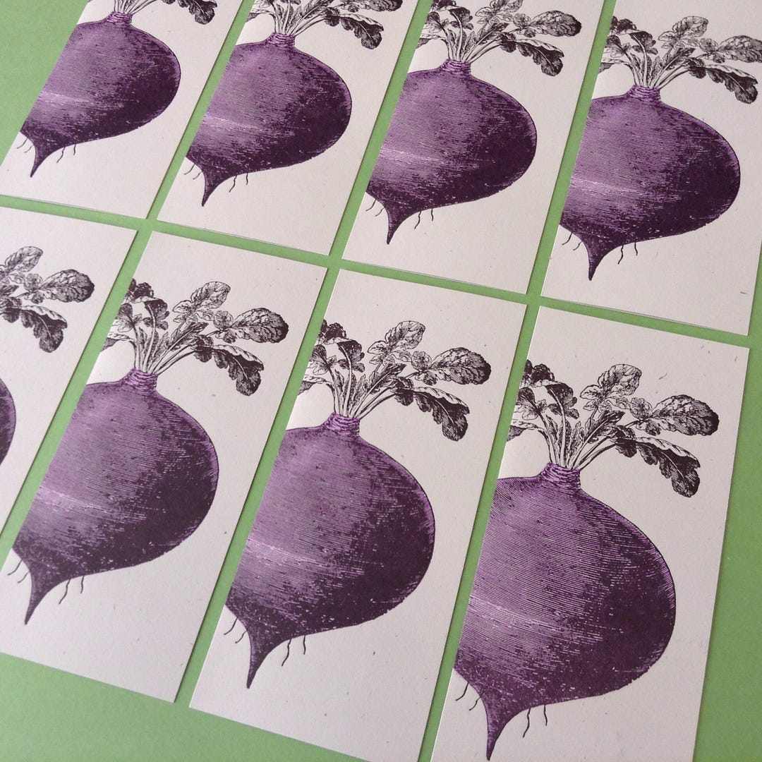 8 BEET GREETING CARDS Farmers Market Letterpress Card 10 Size - Etsy