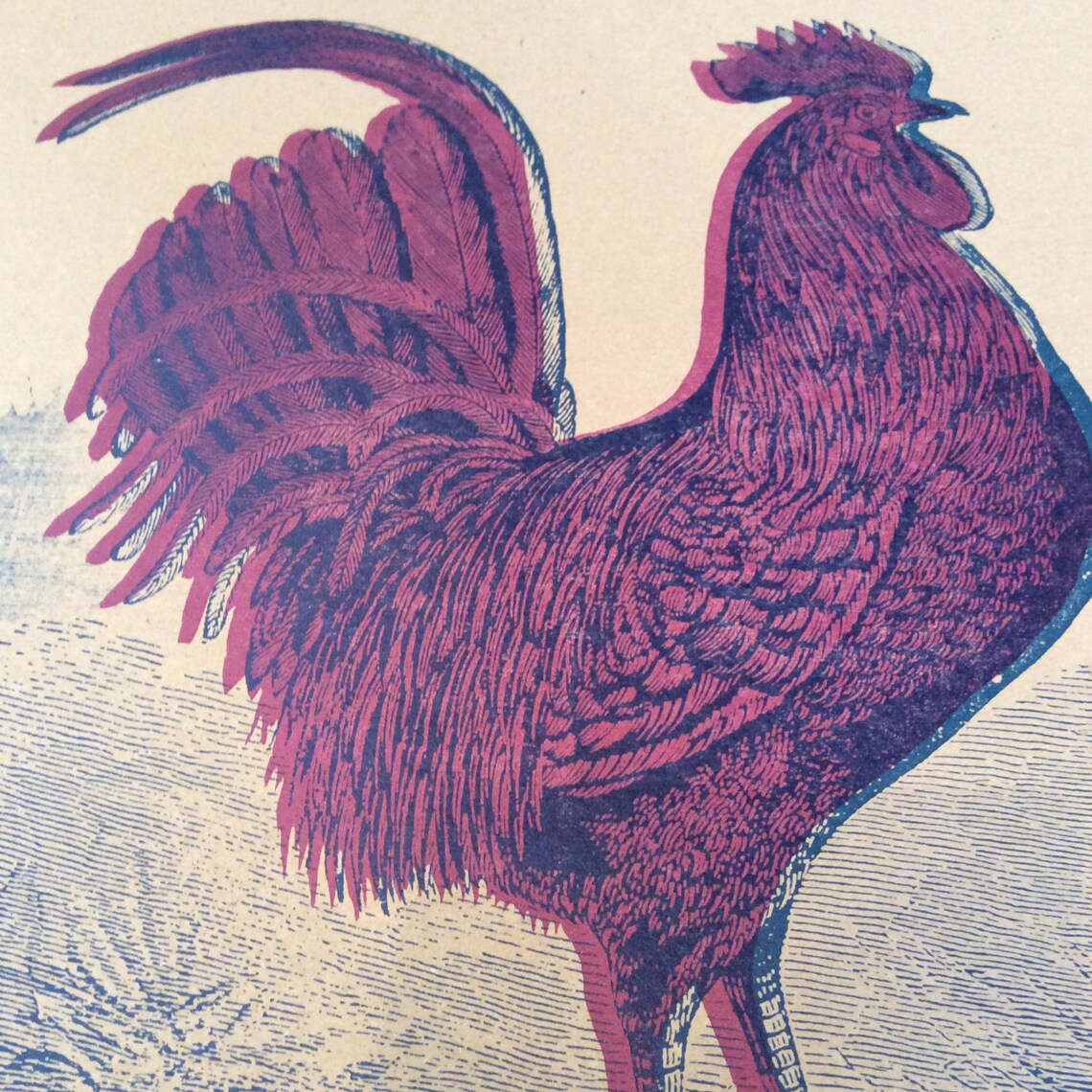 CHICKEN LETTERPRESS POSTER Hand Printed Poster Chicken City - Etsy