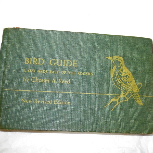 Chester a Reed Bird - Etsy