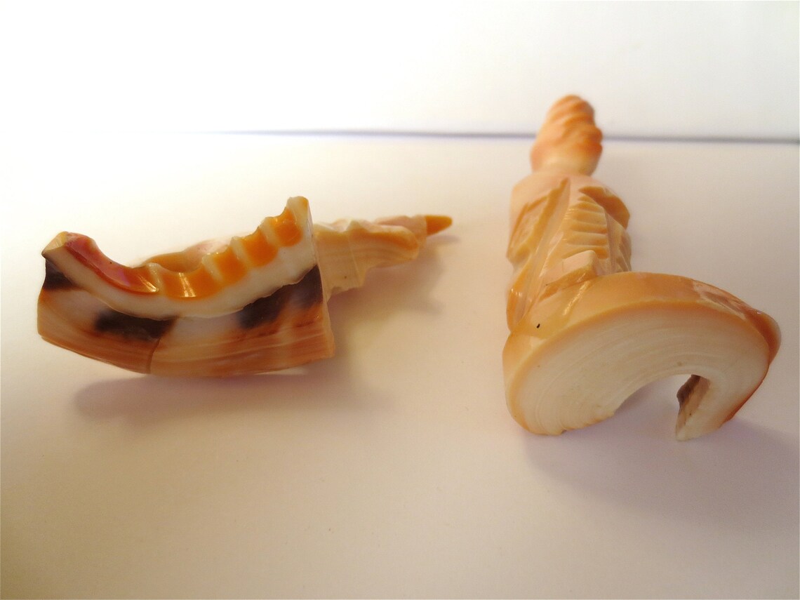 Vintage 1960s Conch Shell Carvings Man in Hat and Elephant | Etsy