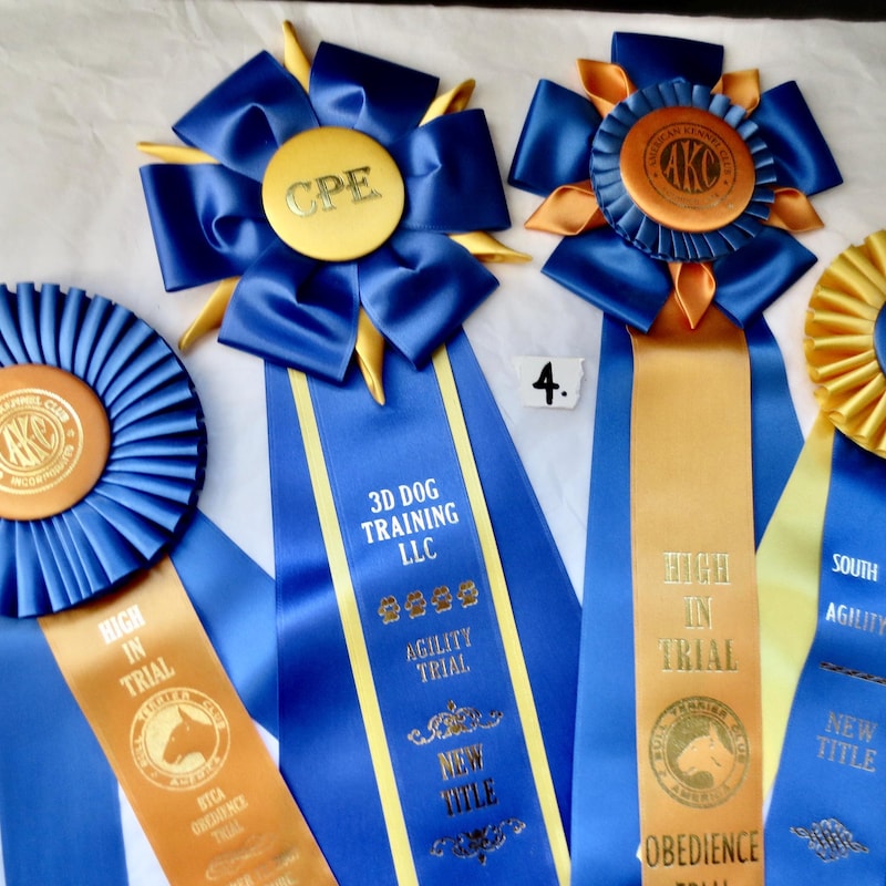 Dog Show Ribbons - Etsy