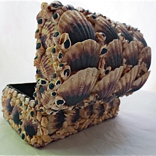 Shell Jewelry Box - Etsy