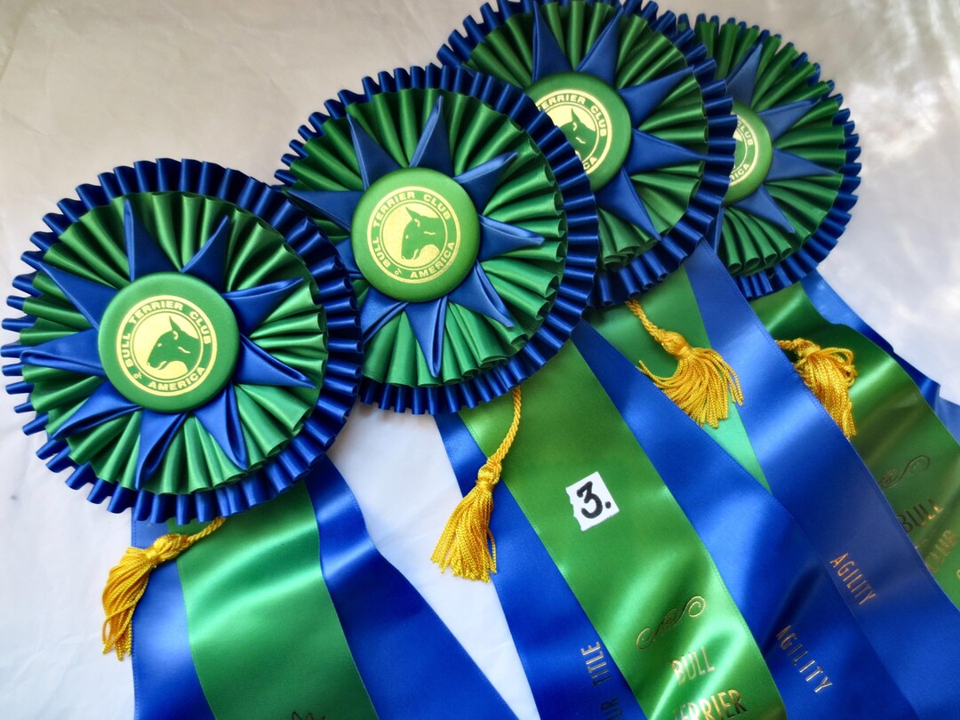 Vintage Dog Show Ribbons - Large Rosette Ribbon Awards - Lot of 4 ...