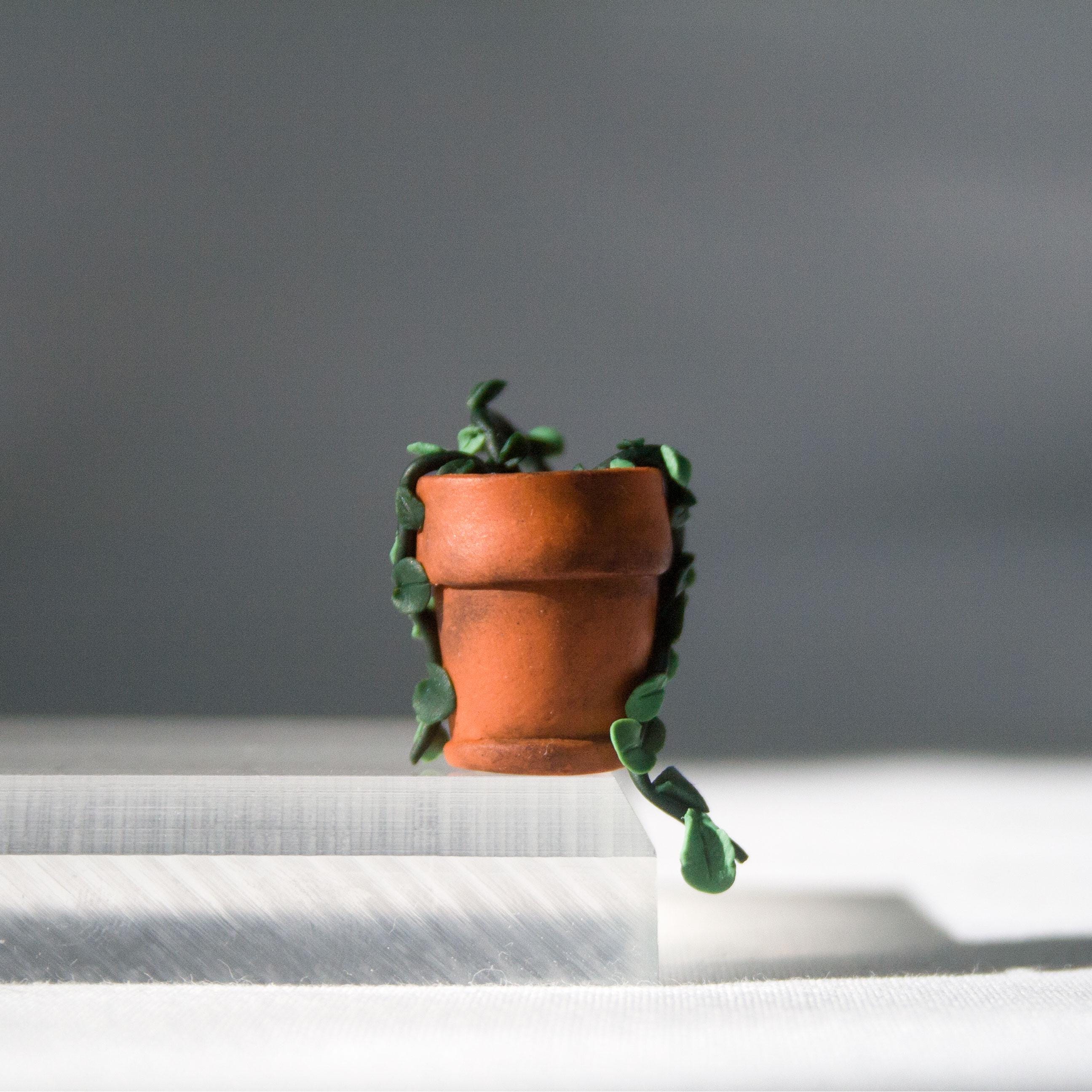 Potted Plant Monitor Topper | Desk Decoration | Car Accessory | Shelf ...