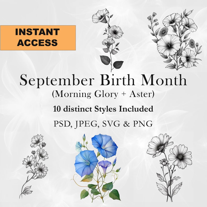 September Birth Flower - Etsy